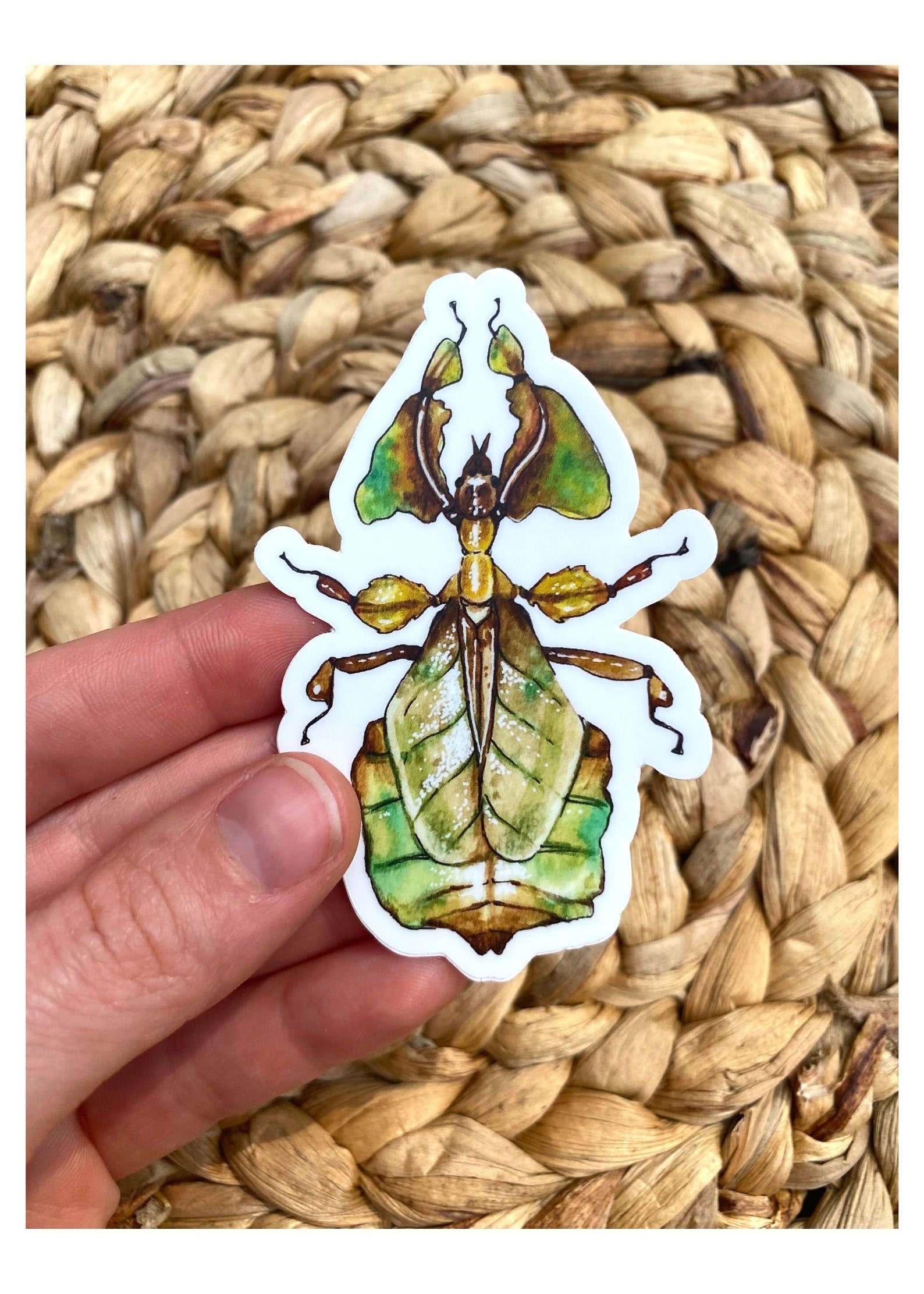 Leaf Bug Vinyl Sticker Bug Stickers Bug Leaf Bug Sticker | Etsy