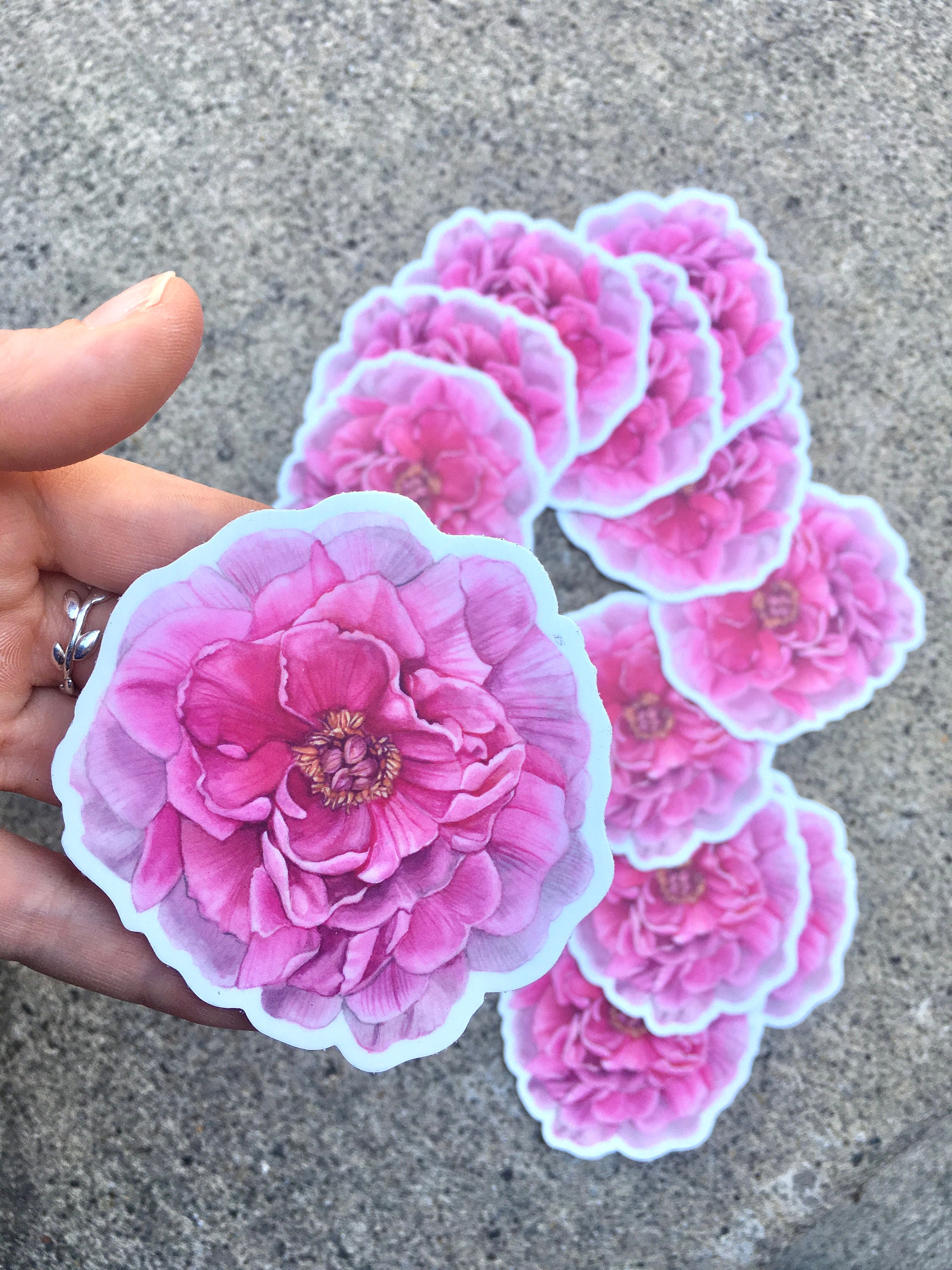 Peony Flower Vinyl Sticker, Flower Stickers, Peony, Flower, Sticker ...