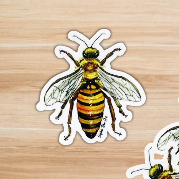 Honey Bee Vinyl Sticker Bee Stickers Honey Bee Sticker | Etsy