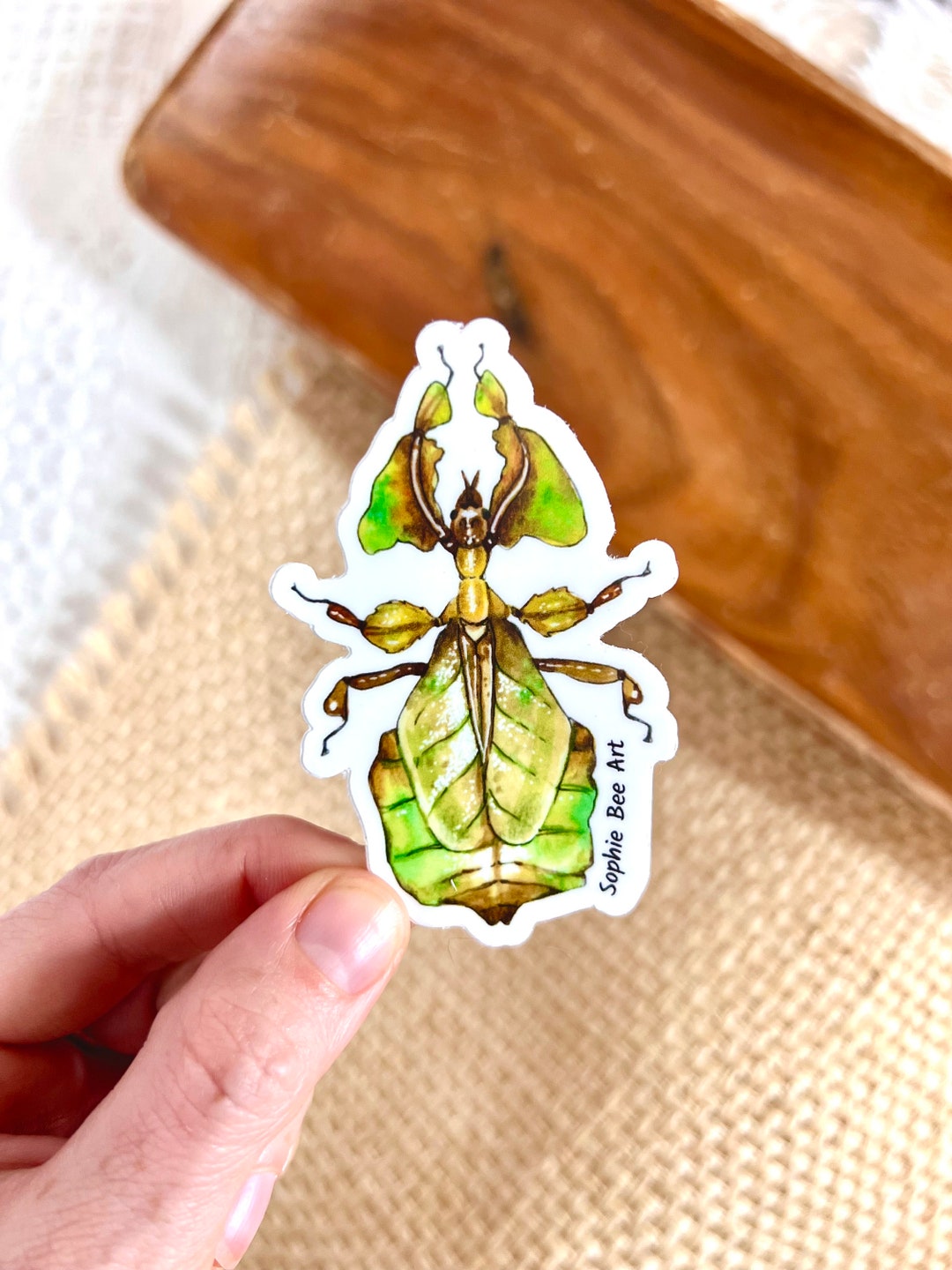 Leaf Bug Vinyl Sticker, Bug Stickers, Bug, Leaf Bug, Sticker, Insect ...