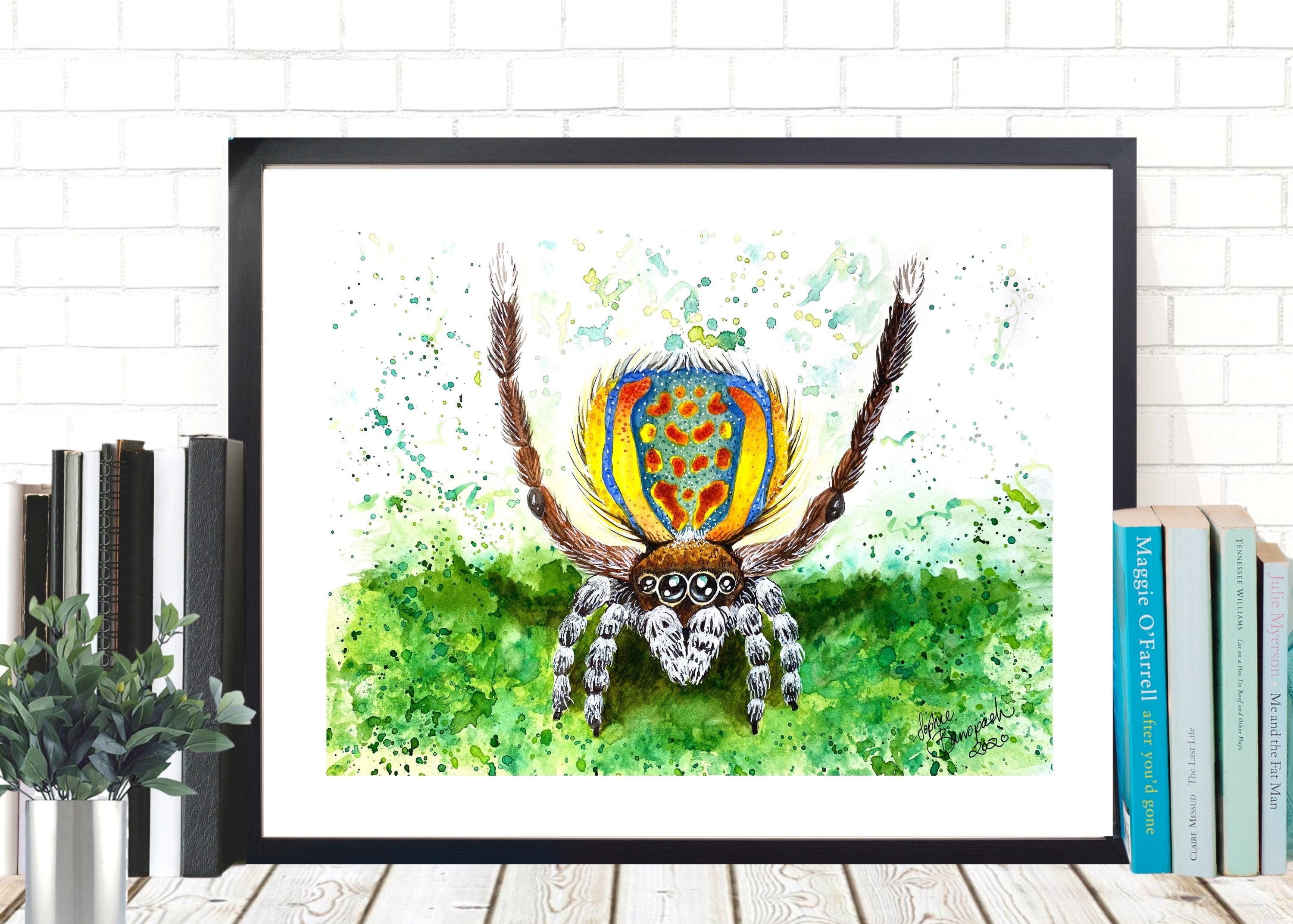 Peacock Jumping Spider Watercolor Illustration, Watercolor Painting ...