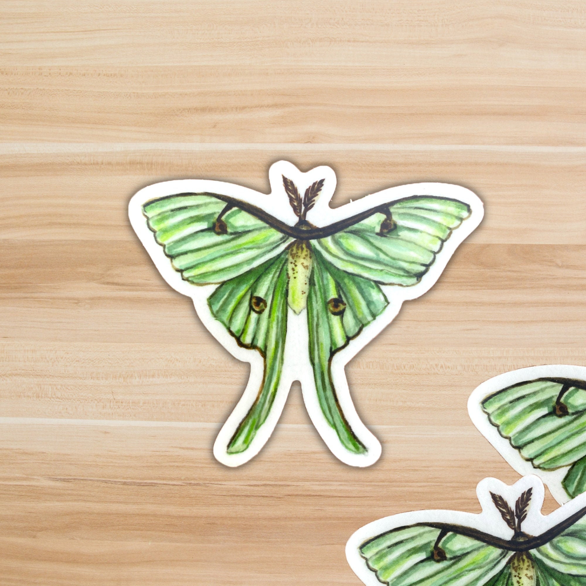 LUNA MOTH Die-Cut Vinyl Sticker Luna Moth Stickers Luna | Etsy