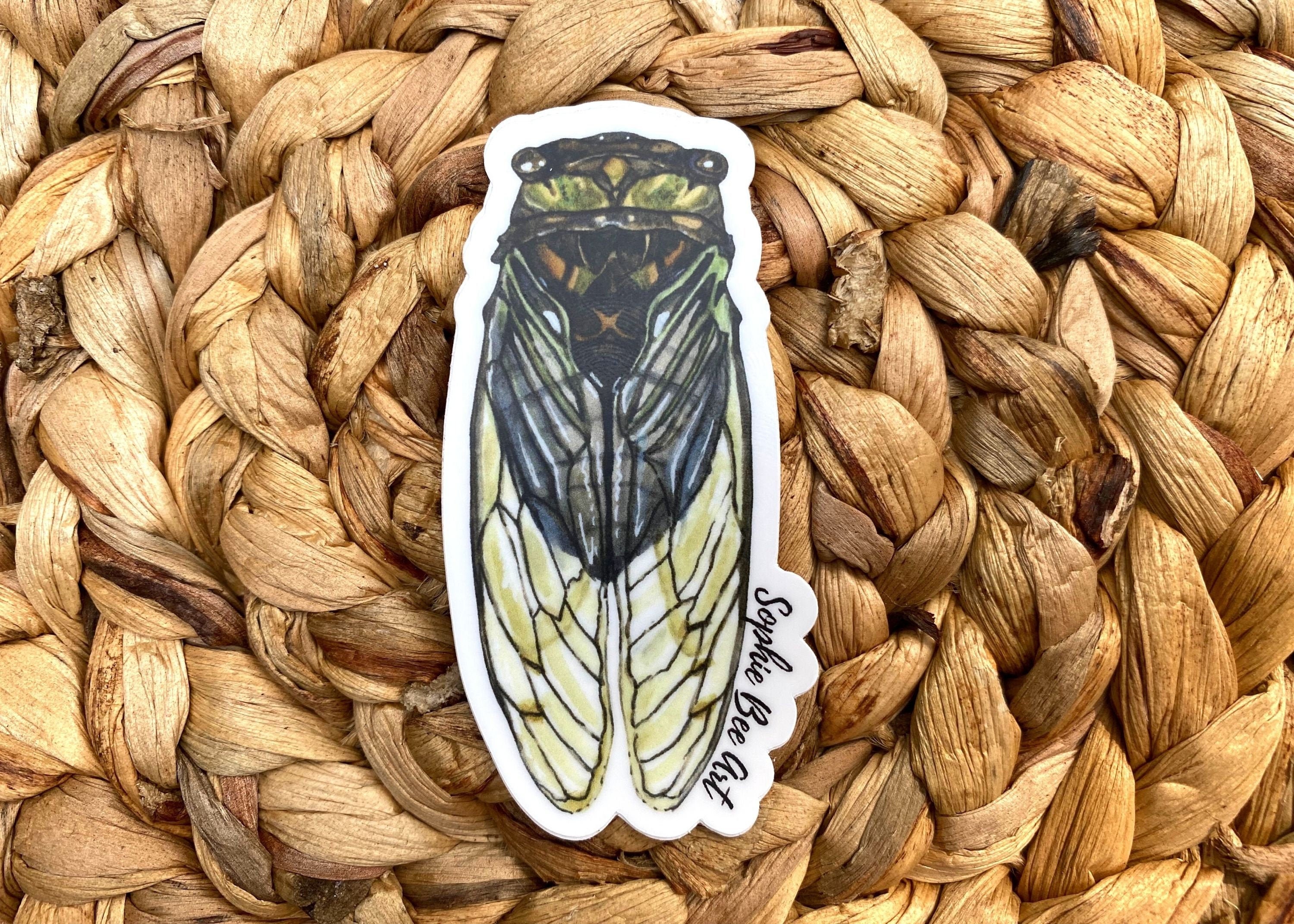 CICADA Die-cut NOT Clear Vinyl Sticker Cicada Stickers | Etsy