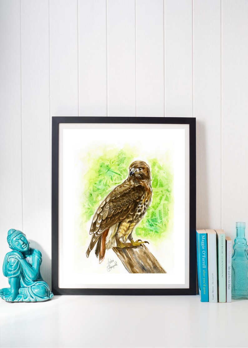 Red Tail Hawk Illustration Red Tail Hawk Hawk Watercolor - Etsy