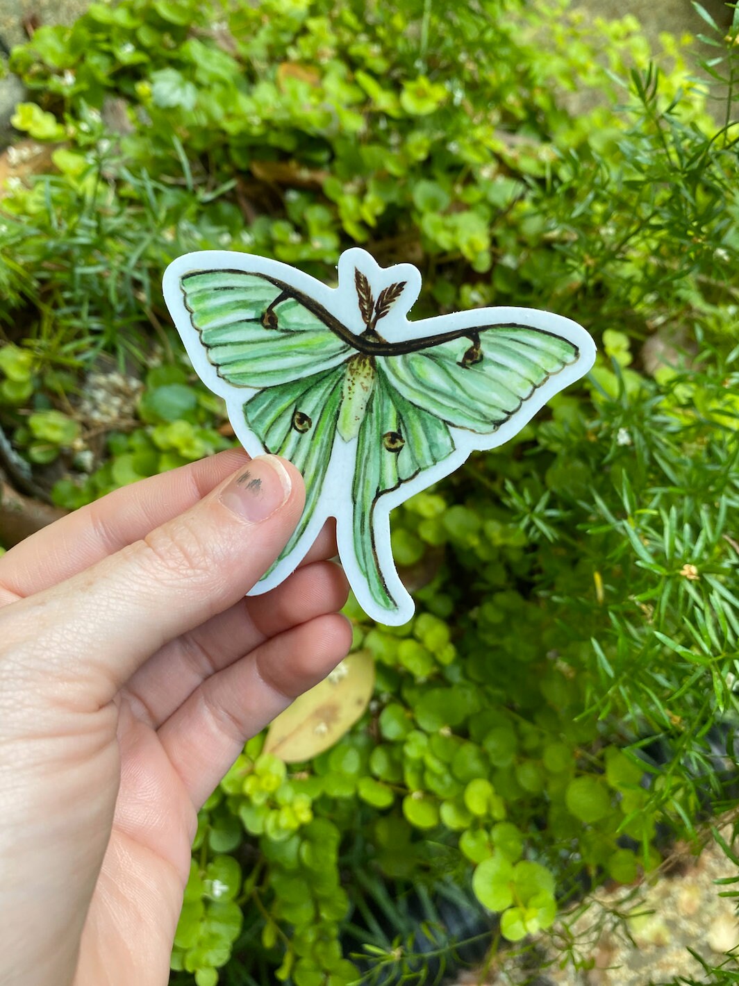 LUNA MOTH Die-cut Vinyl Sticker Luna Moth Stickers Luna | Etsy
