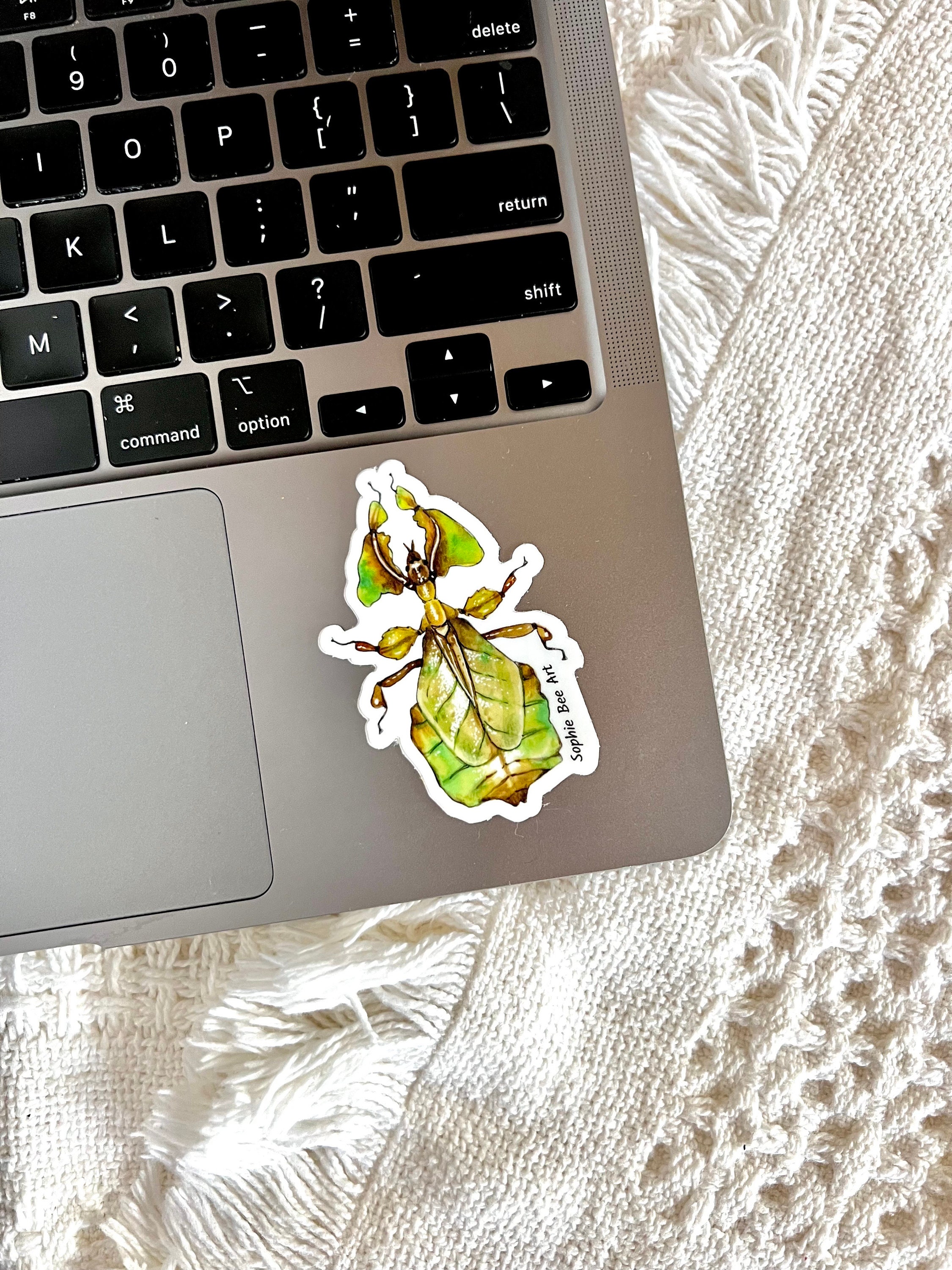 Leaf Bug Vinyl Sticker, Bug Stickers, Bug, Leaf Bug, Sticker, Insect ...