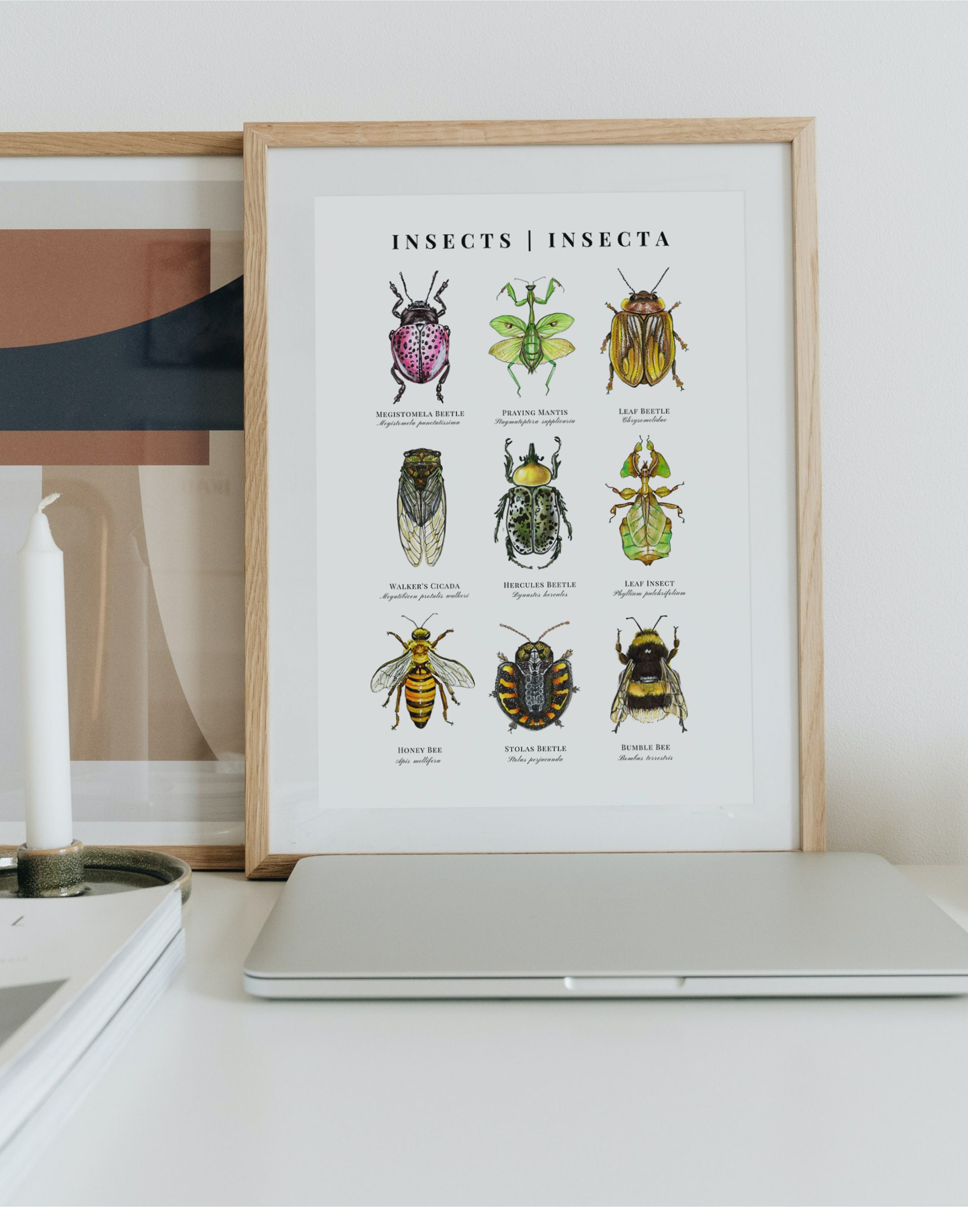 INSECT POSTER, Insect Painting, Insects, Bugs, Scientific Art ...