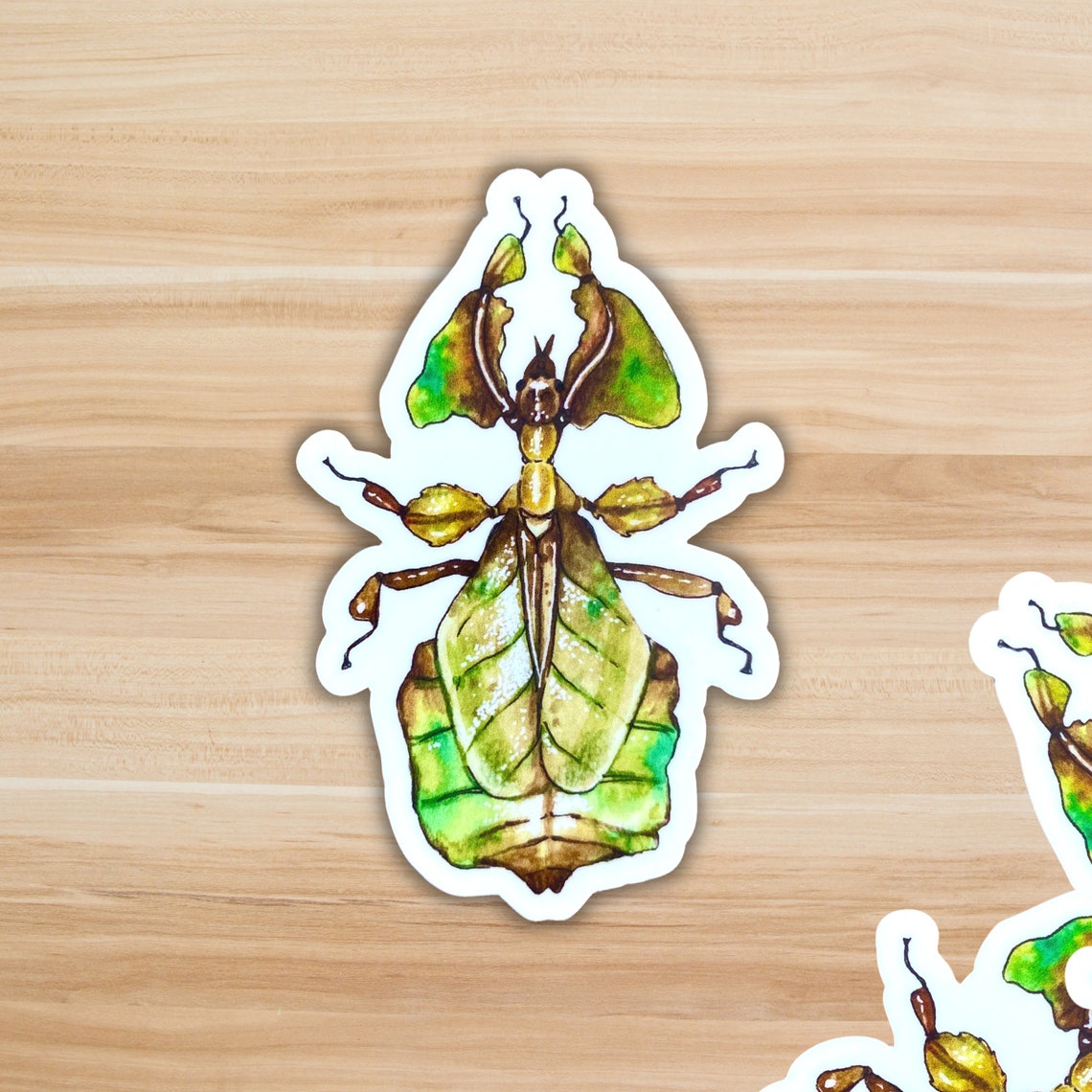 Leaf Bug Vinyl Sticker Bug Stickers Bug Leaf Bug Sticker | Etsy