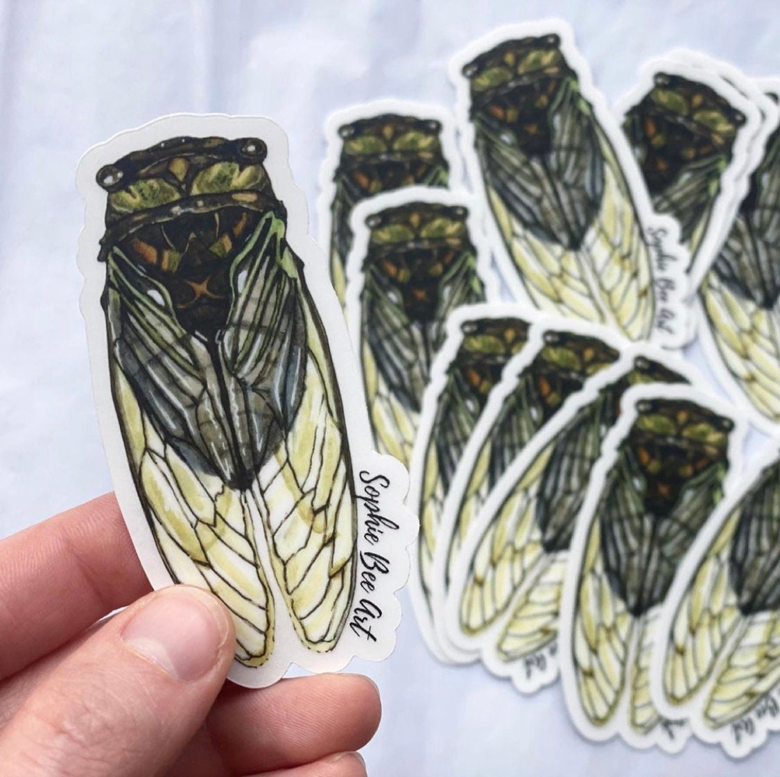 CICADA Die-cut (NOT Clear) Vinyl Sticker, Cicada Stickers, Cicada ...