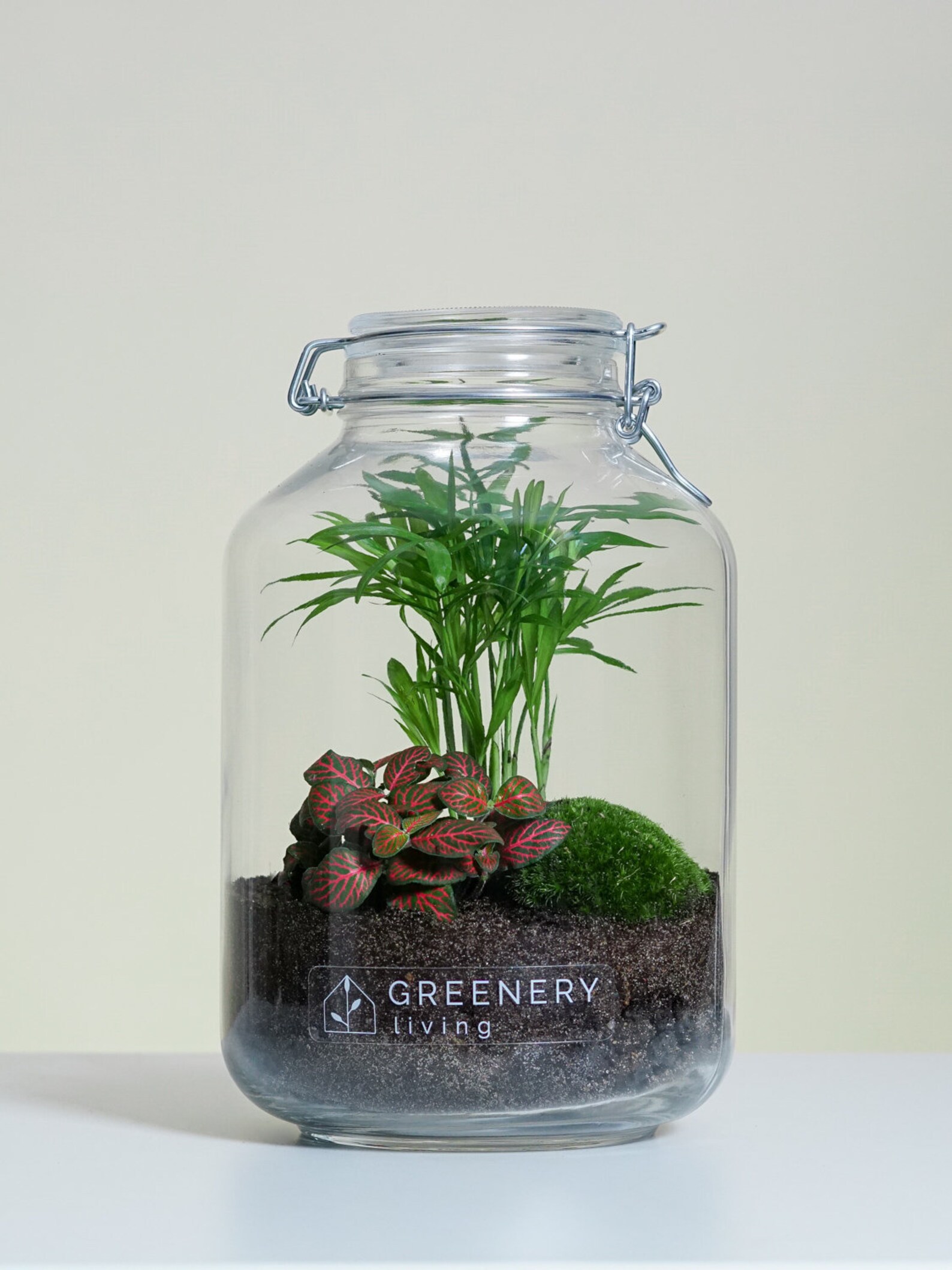 Flaschengarten Jar-3 DIY-Set / Terrarium / Biotop / Ökosystem - Etsy.de