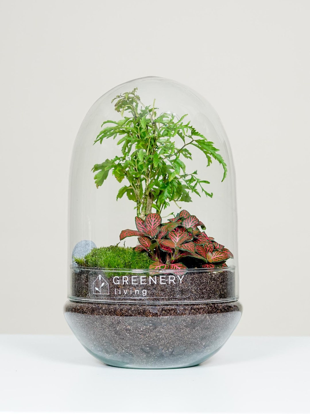 Bottle Garden Egg-1 DIY Set/terrarium/biotope/ecosystem - Etsy
