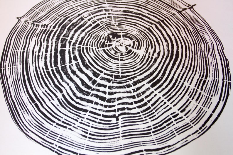 South Valley Elm End Grain Print, Wood Grain Print, Nature is Life ...