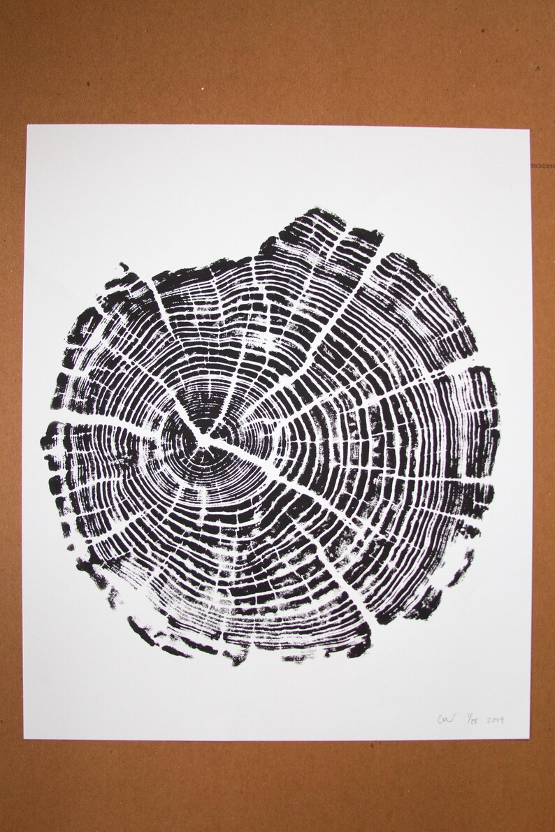 Pinon Print, End Grain Print, Wood Grain Print, Tree Ring Print, Made ...