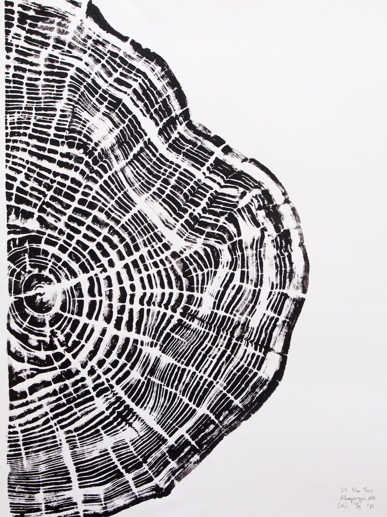 SV Elm End Grain Print Wood Grain Print Tree Ring Print - Etsy