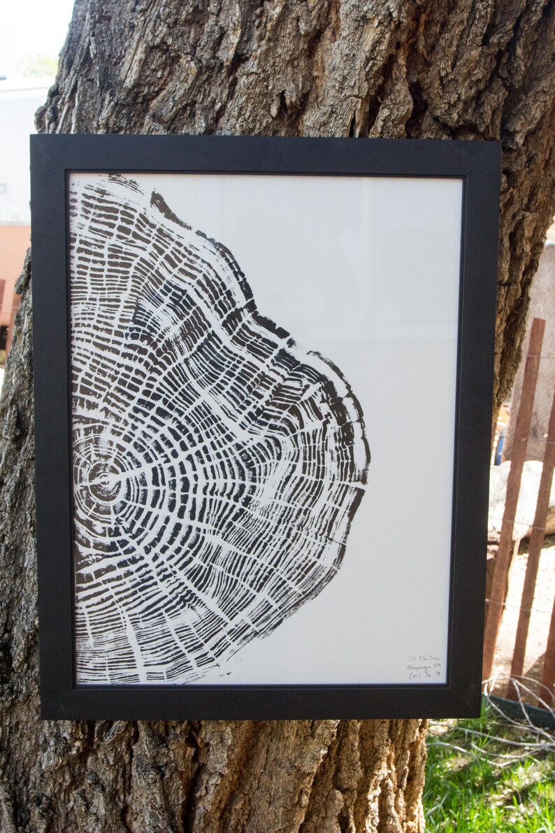 SV Elm End Grain Print Wood Grain Print Tree Ring Print - Etsy