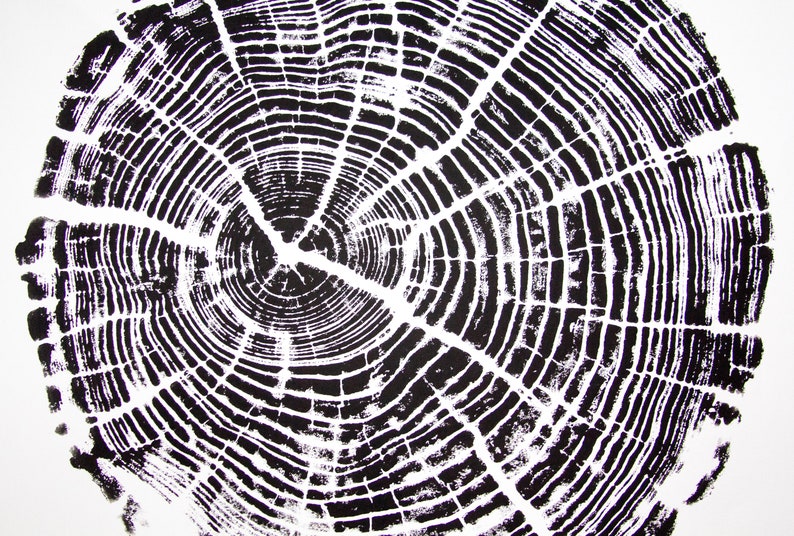 Pinon Print, End Grain Print, Wood Grain Print, Tree Ring Print, Made ...