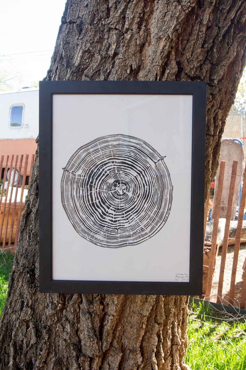 South Valley Elm End Grain Print, Wood Grain Print, Nature is Life ...