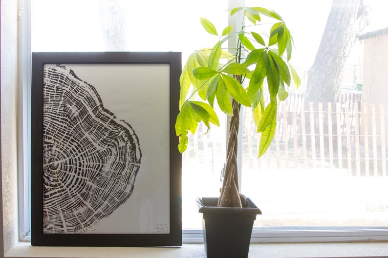 SV Elm End Grain Print Wood Grain Print Tree Ring Print - Etsy