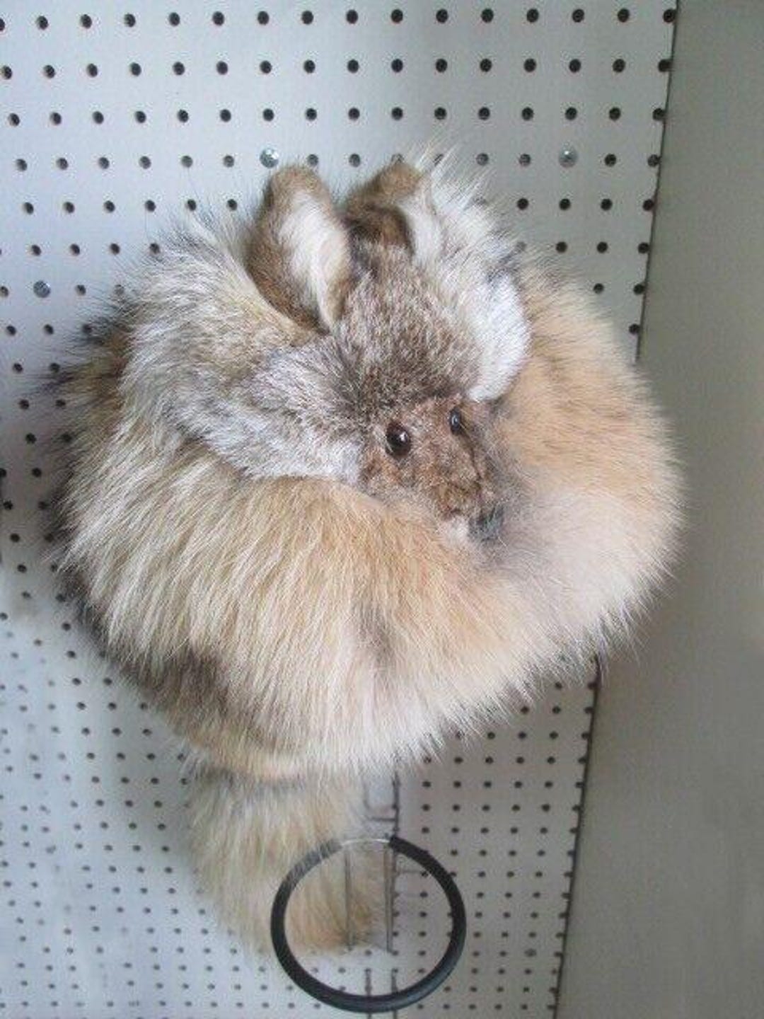 Men's New Coyote Fur Davy Crockett Frontier Trapper Hat Men - Etsy