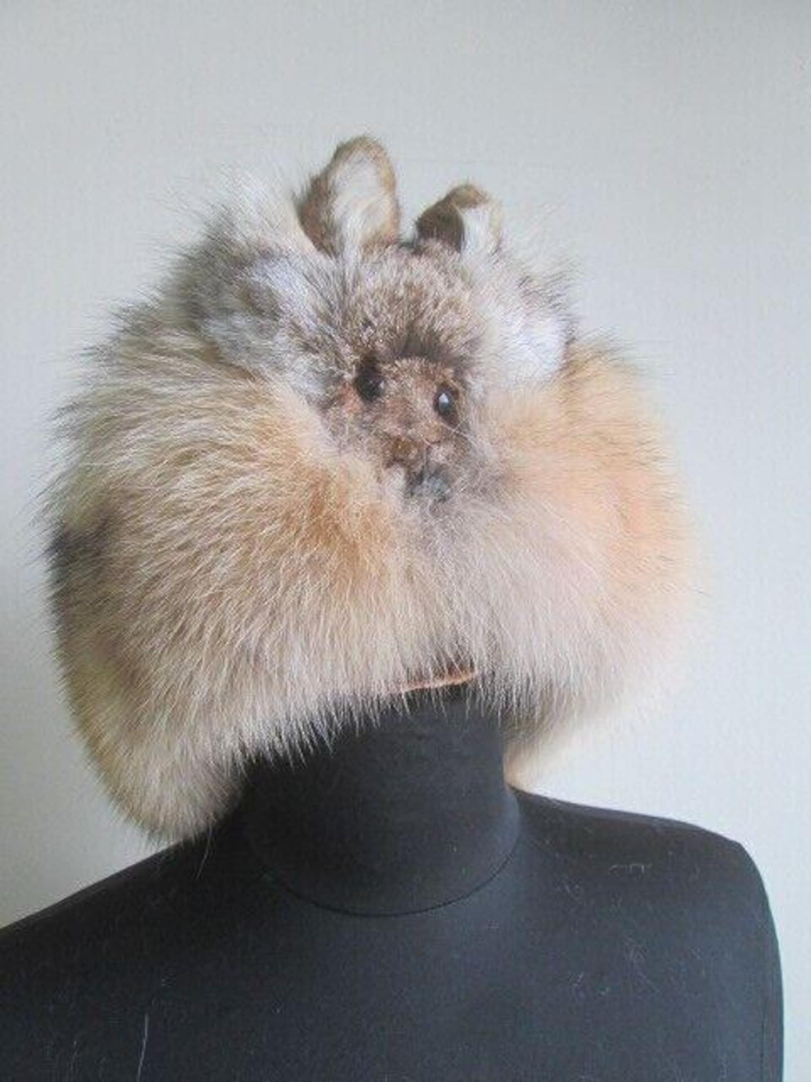 Men's New Coyote Fur Davy Crockett Frontier Trapper Hat Men - Etsy