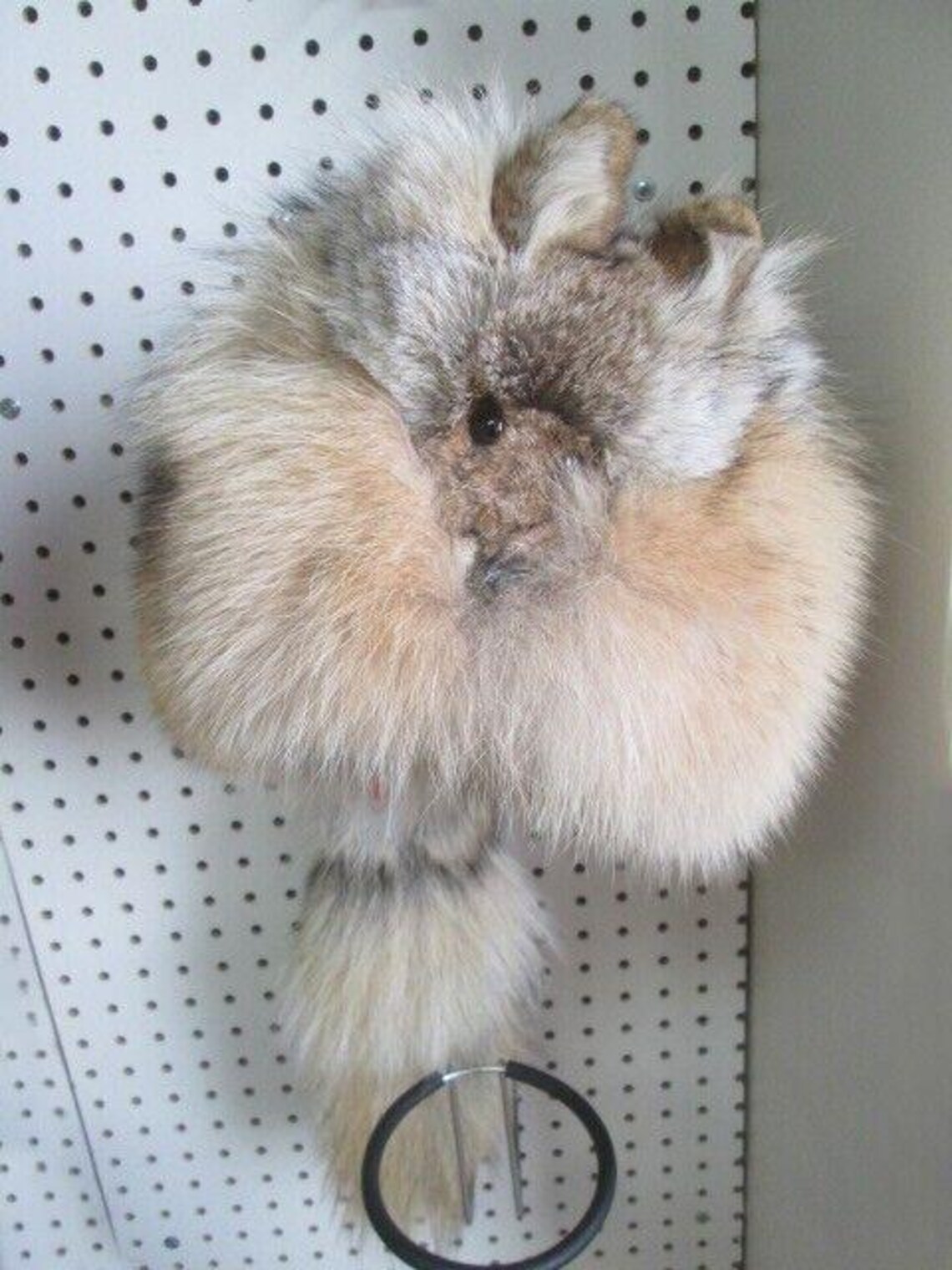 Men's New Coyote Fur Davy Crockett Frontier Trapper Hat Men - Etsy