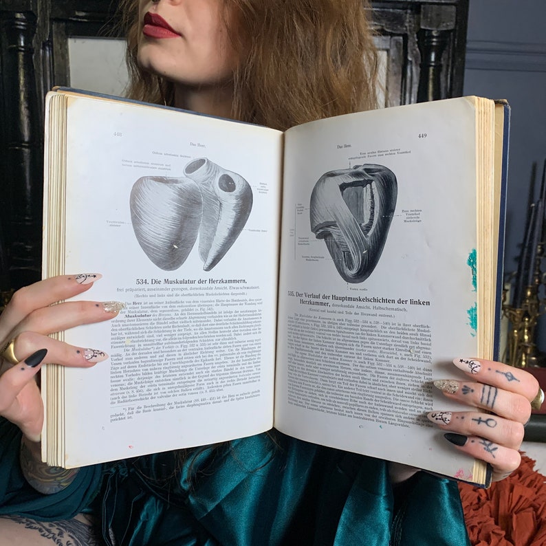 Antique German Anatomy Book - Etsy