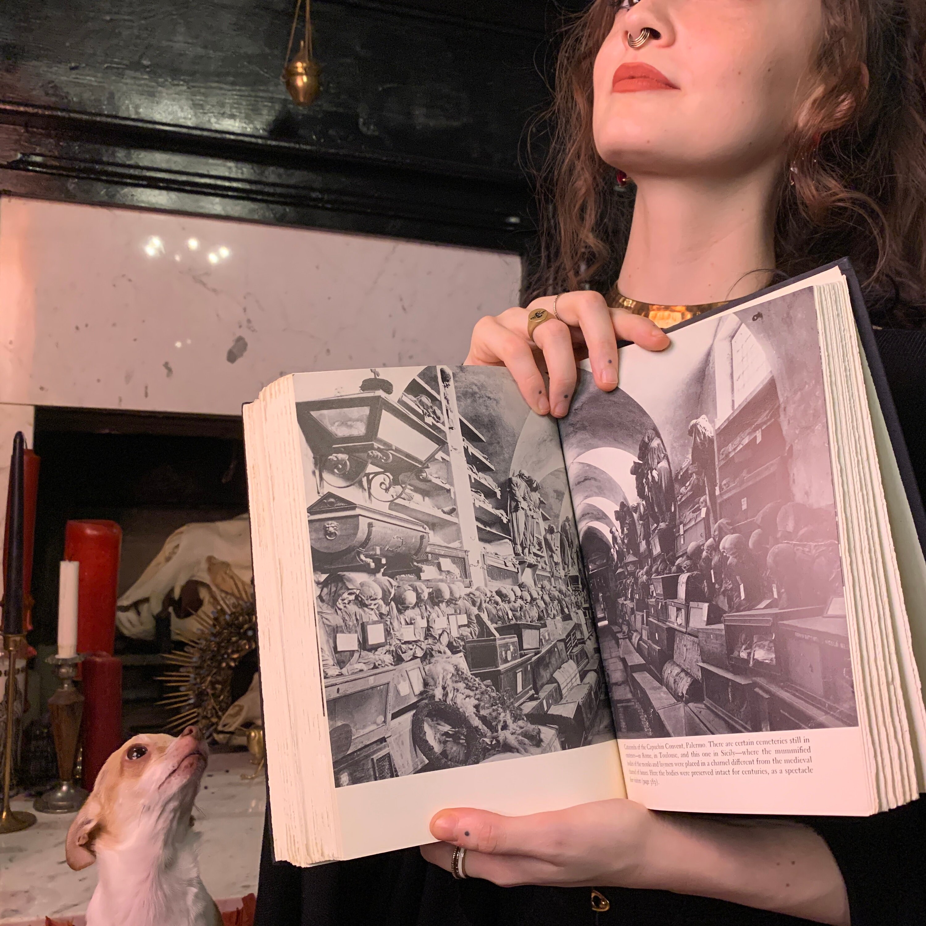 Vintage Book on | Etsy