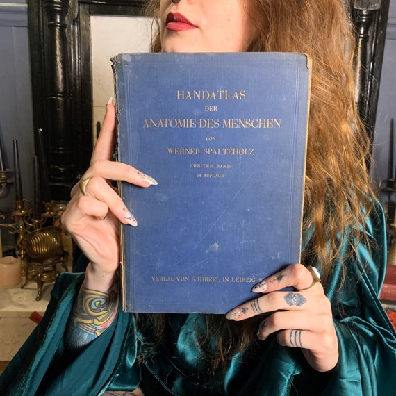 Antique German Anatomy Book | Etsy