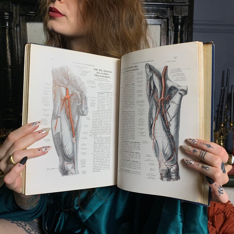 Antique German Anatomy Book - Etsy