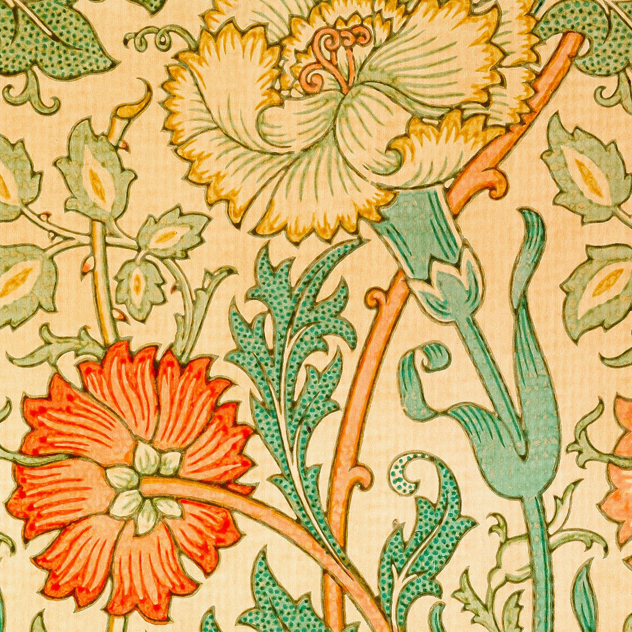 Pink and Rose Vintage Illustration by William Morris 1834-1896 Famous ...