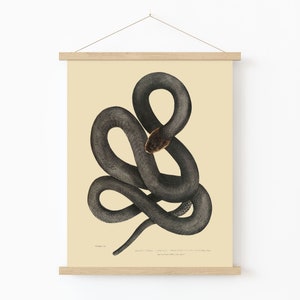Black Snake Art, Vintage Posters, Nature Designs, Dark Style Art ...