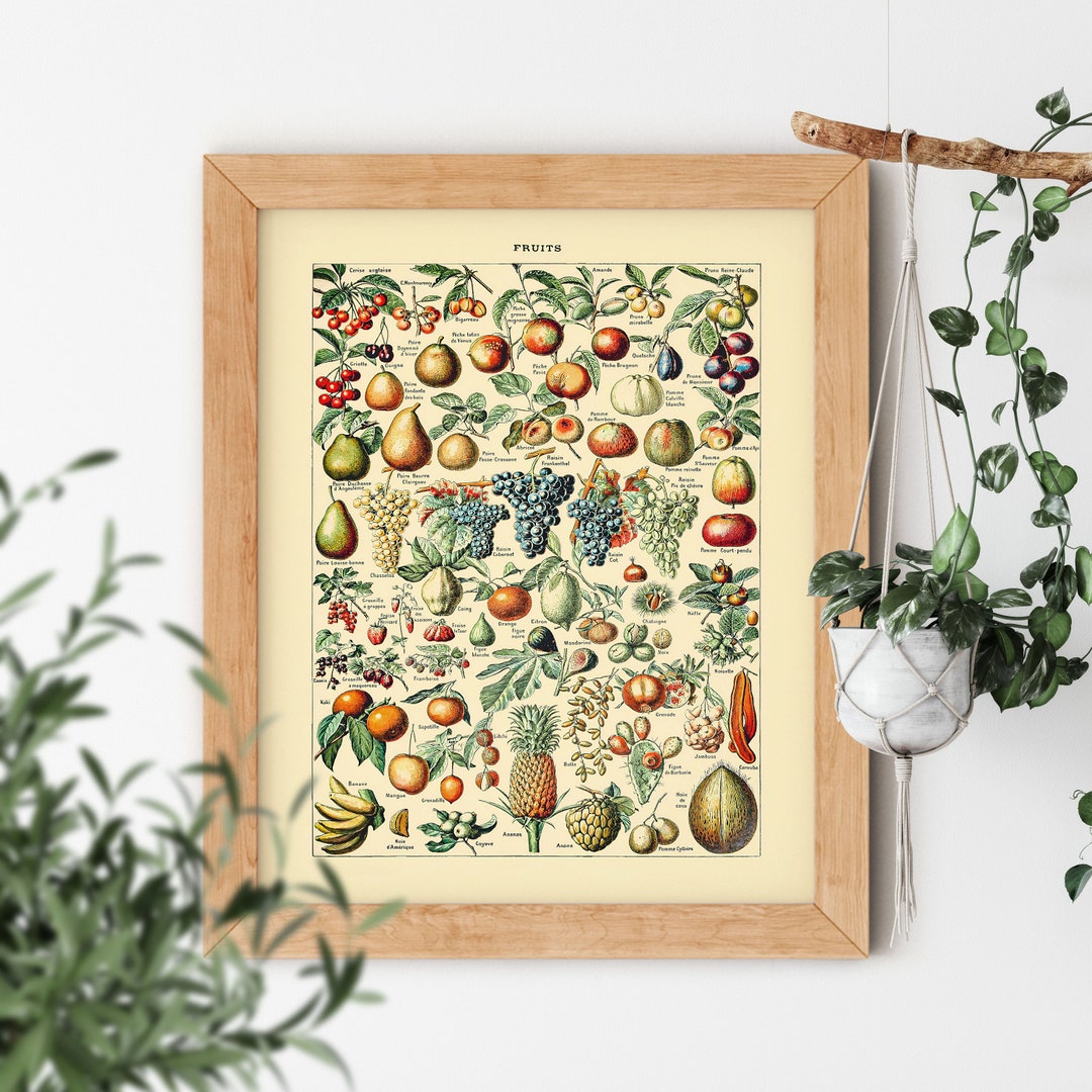 Autumn Art, Vintage Poster, Cottagecore Botanical Chart Decor, Garden ...