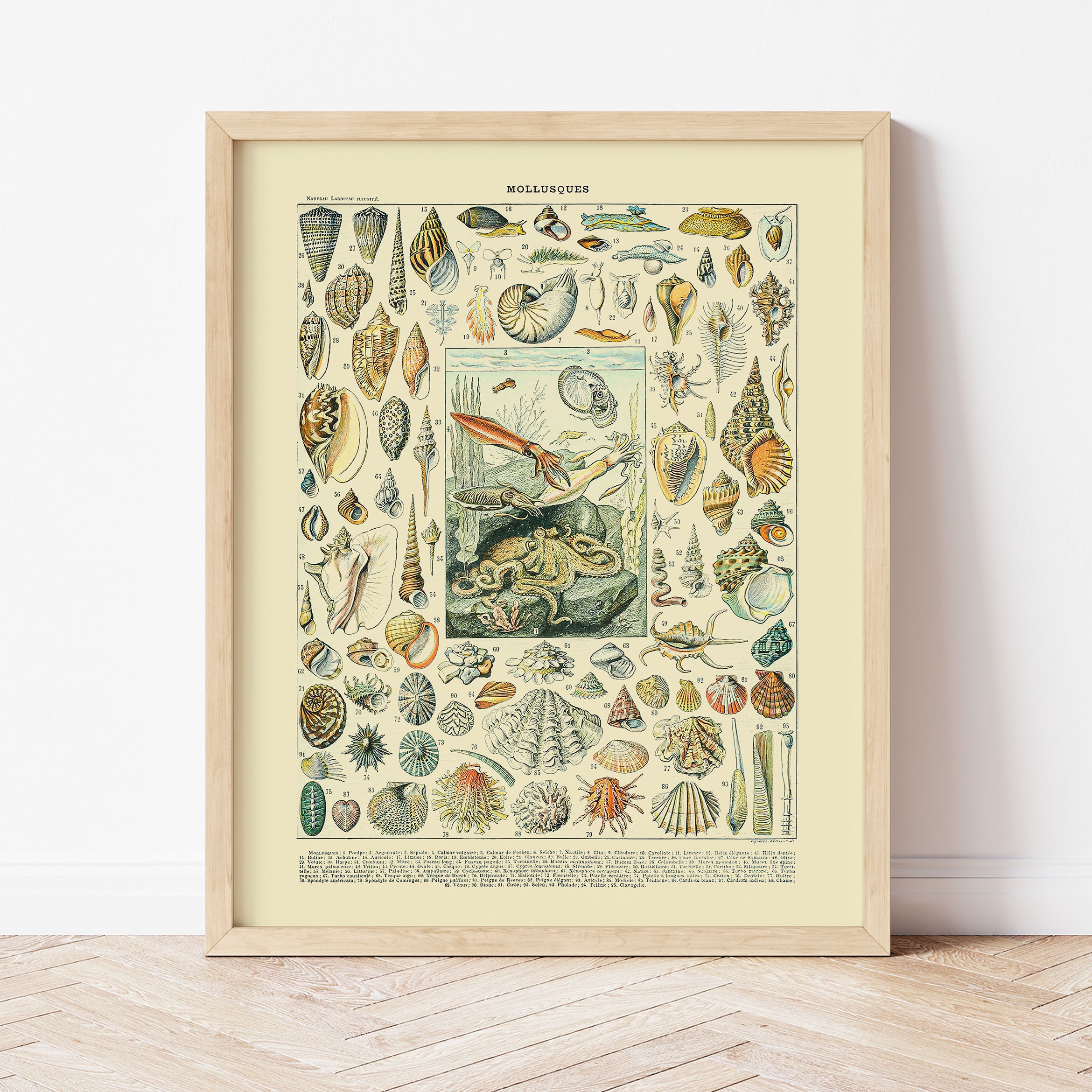 Wall Hangings VINTAGE AESTHETIC Seashell Octopus Squid Ocean Sea ...