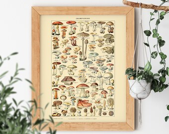 Aesthetic Science Poster | Etsy