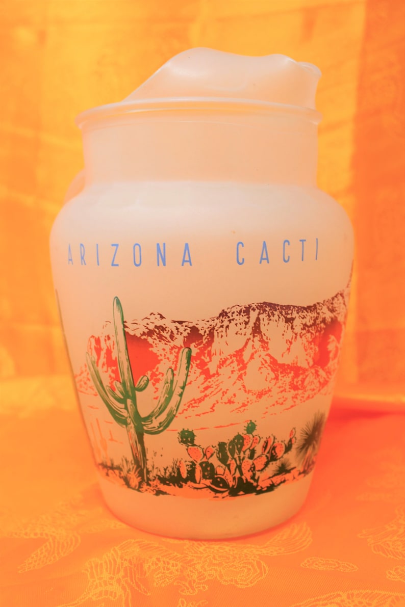 Blakely Arizona Cactus Pitcher or Complete 8 Glasses Set - Etsy