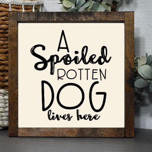 A Spoiled Rotten Dog Lives Here Humorous Dog Sign Spoiled | Etsy