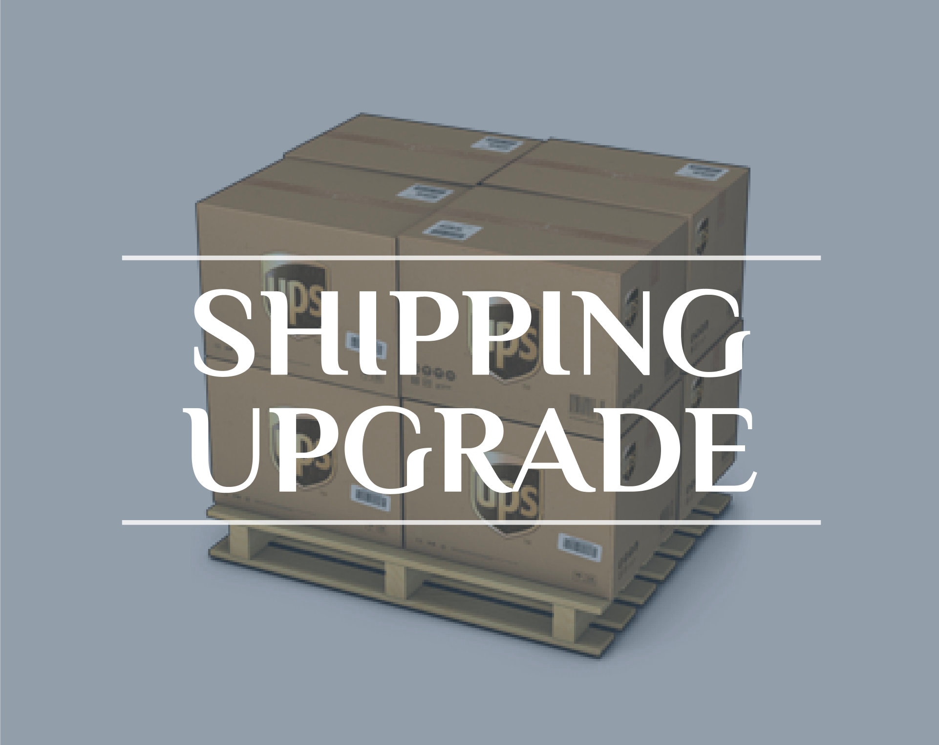 Shipping Upgrade-overnight/shipping Upgrade-1 Day - Etsy