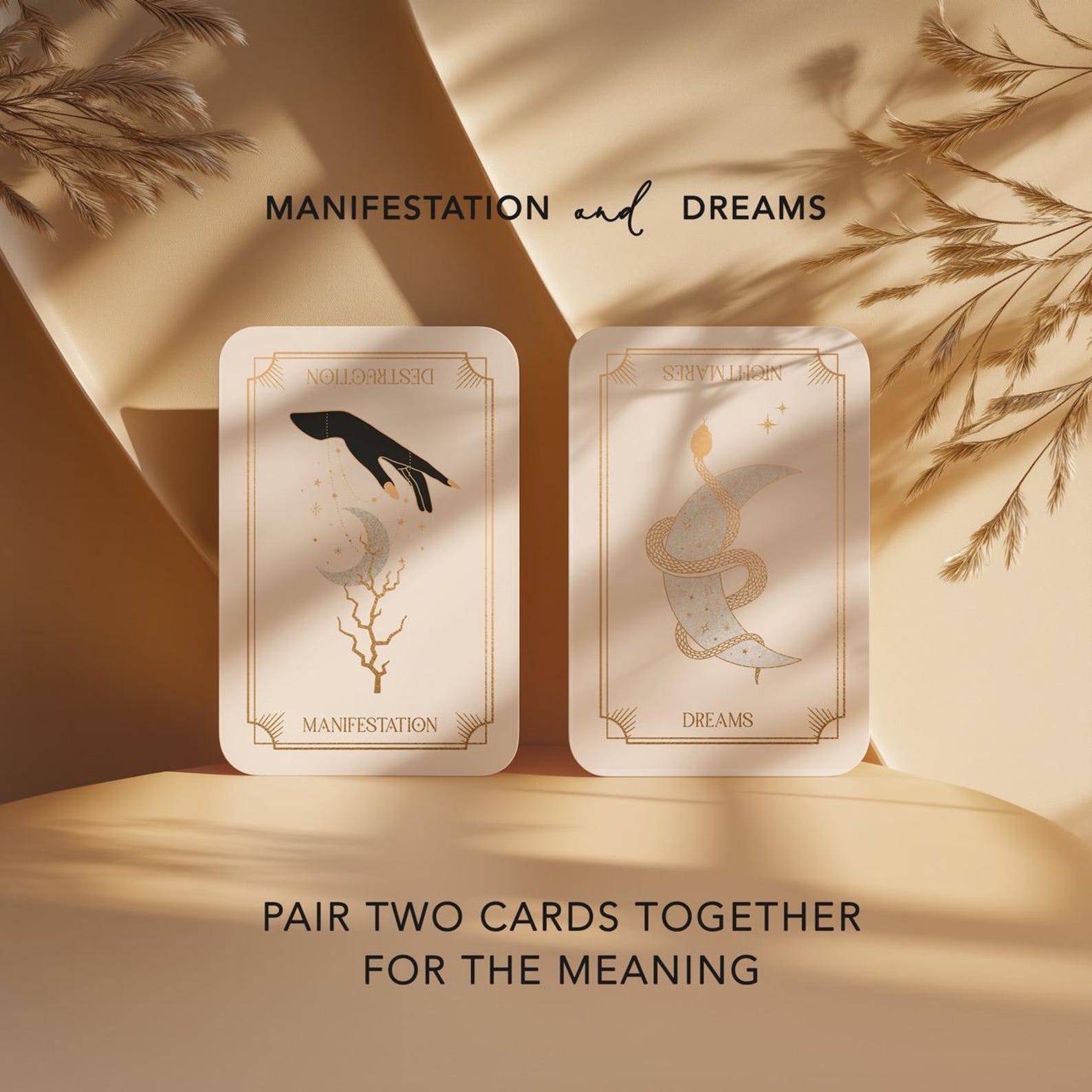 Ascension Tarot Deck: Master Codex, 24 Raised Gold Foil Cards (48 ...