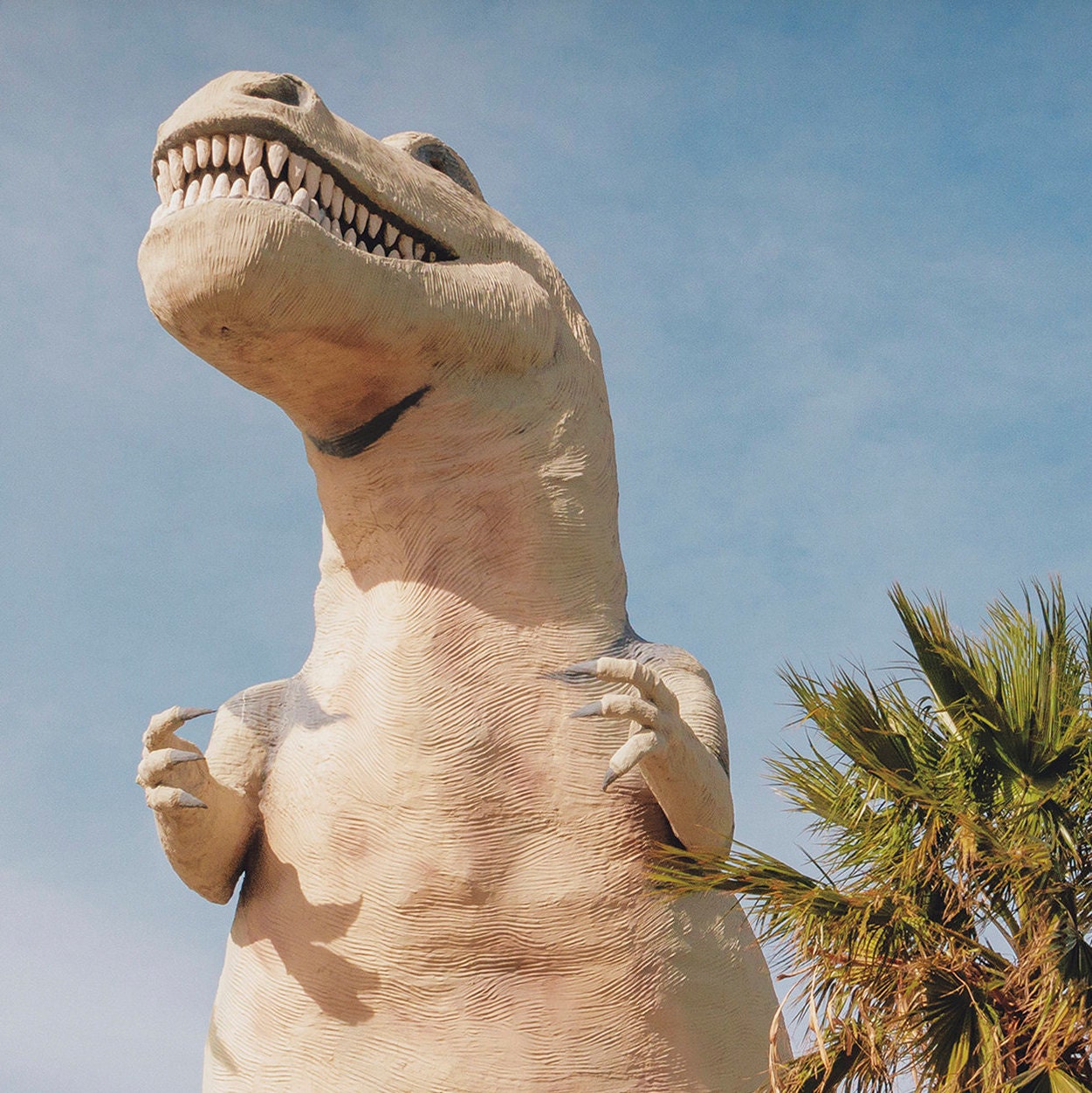 Dinosaur Print, Cabazon Dinosaurs, Dino Print, T-rex, Palm Springs ...