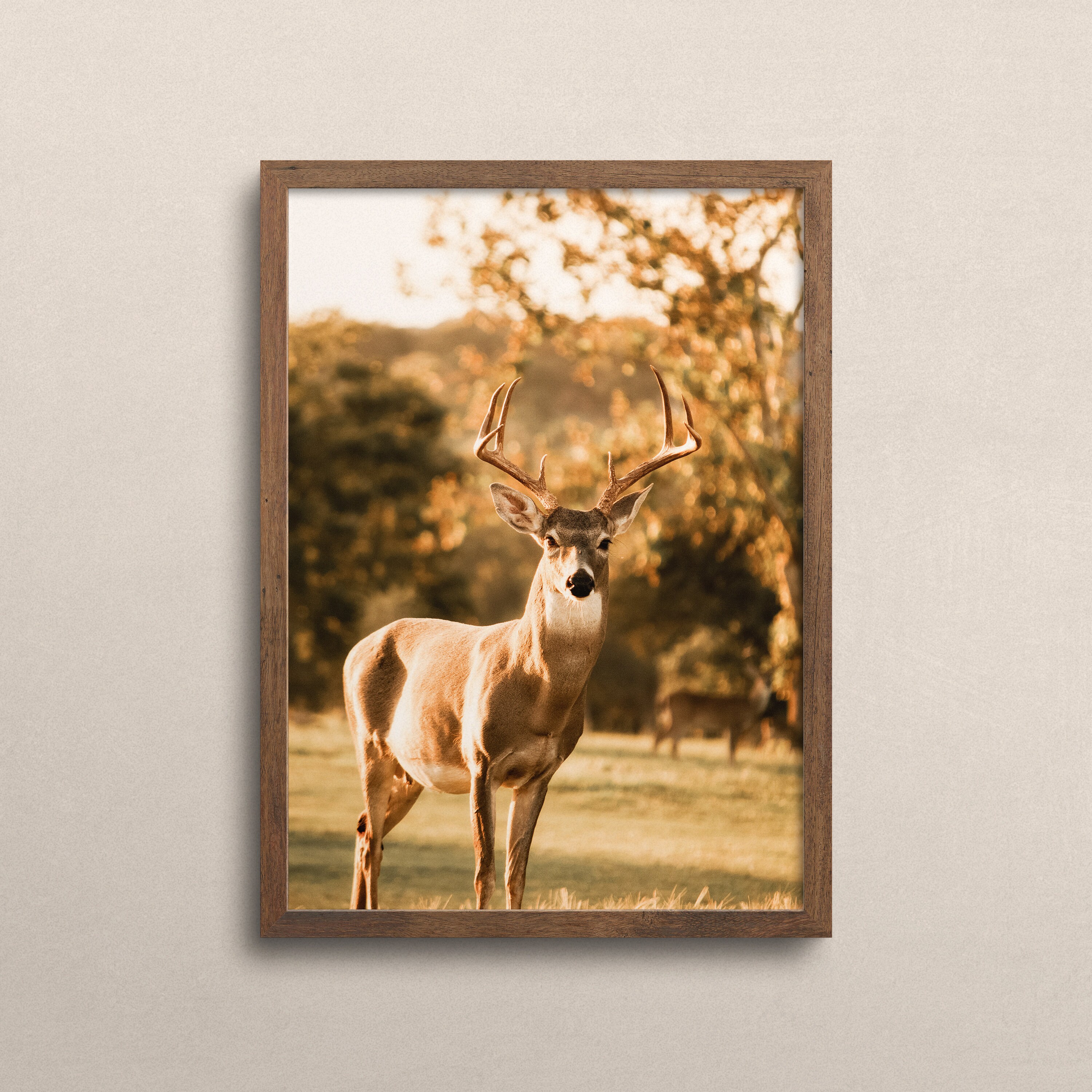 Rustic Deer Print, Whitetail Deer Photo, Midwest Wall Art, Woodland ...