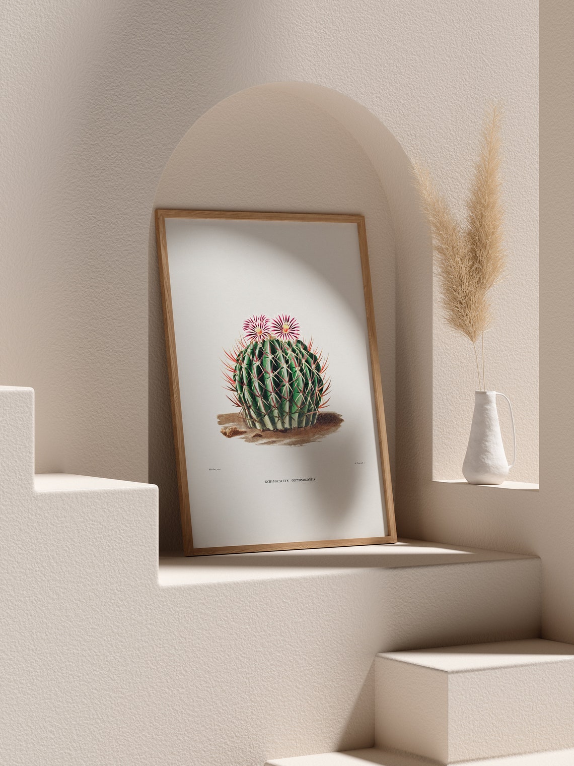 Enchino Cactus Drawing, Pink Cactus Flowers, Botanical Drawing, Cactus ...