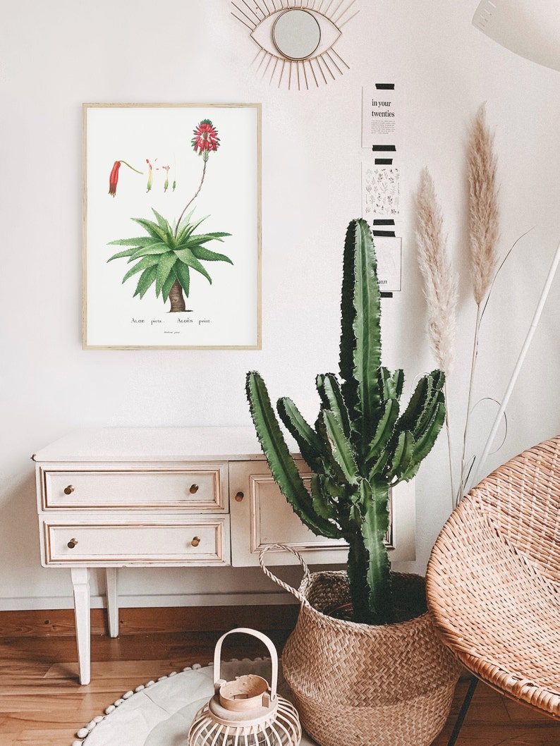 Fan Aloe Art Print Aloe Poster Aloe Printable Aloe Wall | Etsy