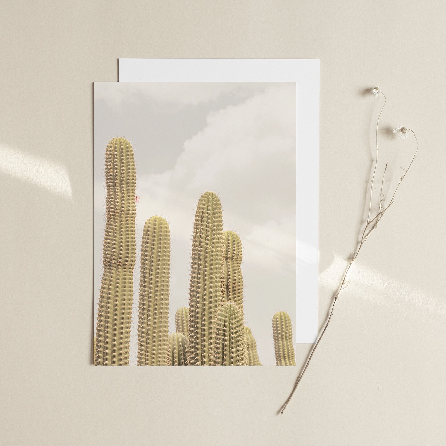 Desert Cactus Print Saguaro Wall Art Arizona Saguaro Print | Etsy