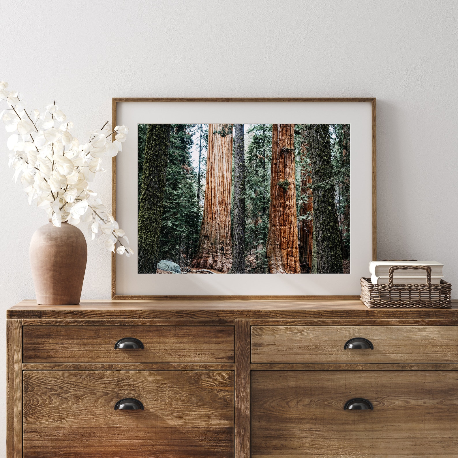 Redwood Forest Print Nature Photography California Redwood - Etsy