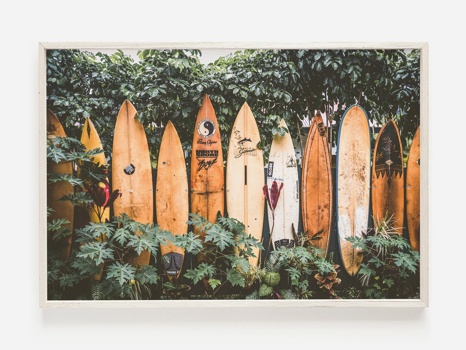 Surfboards in Hawaii Tropical Forest Landscape Surfing Ocean - Etsy