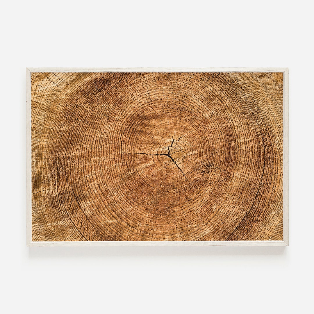 Tree Ring Wall Art, Brown Printable Art, Rustic Home Decor, Wood ...