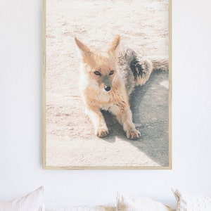 Fox Print, Desert Animal Wall Art, Boho Art, California Desert Print ...