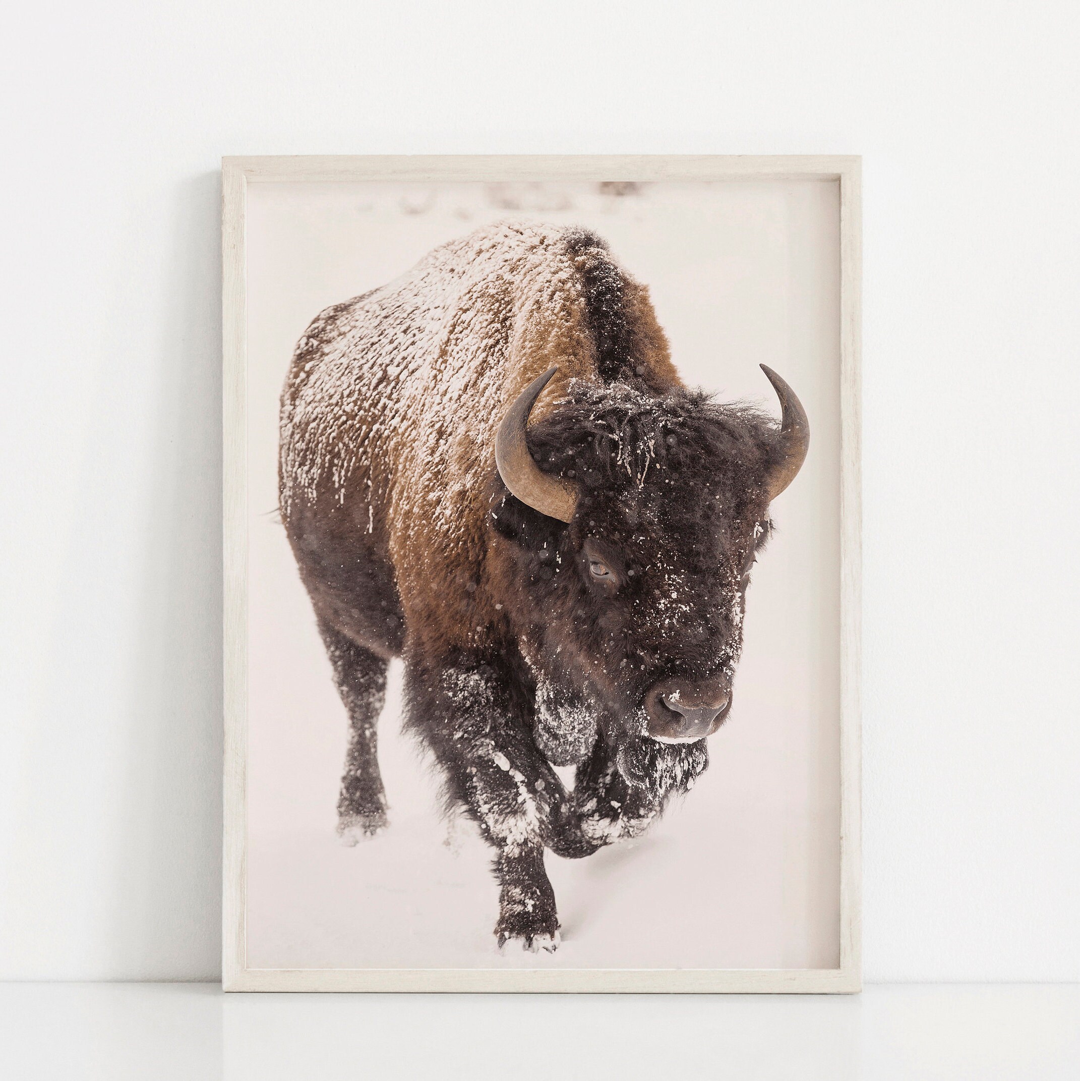 Set of 2 Prints Western Bison Poster Set Boho Gallery Set 2 | Etsy