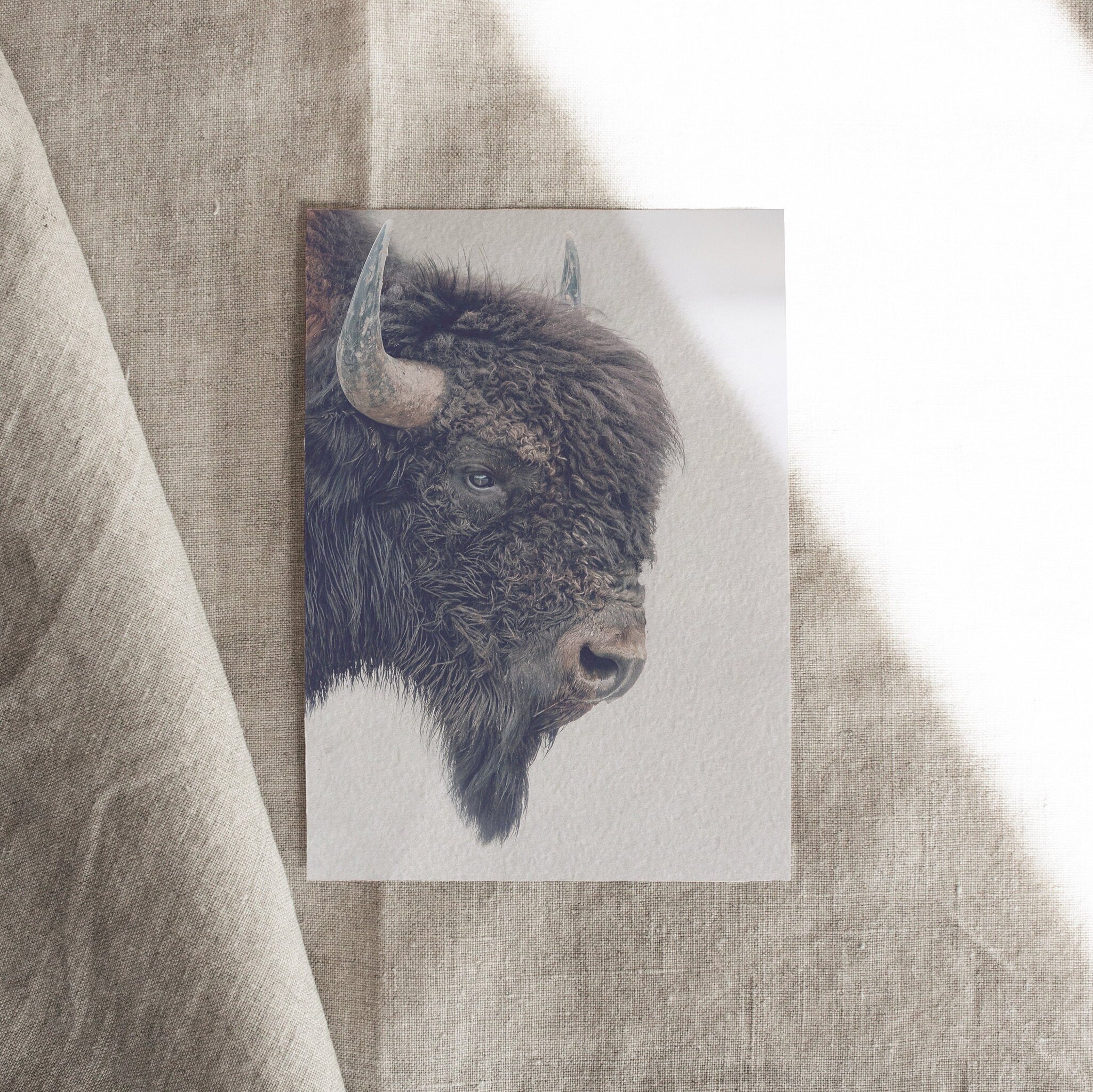 Buffalo Print, Bison Wall Art, Western Prints, Boho Bison Wall Art ...