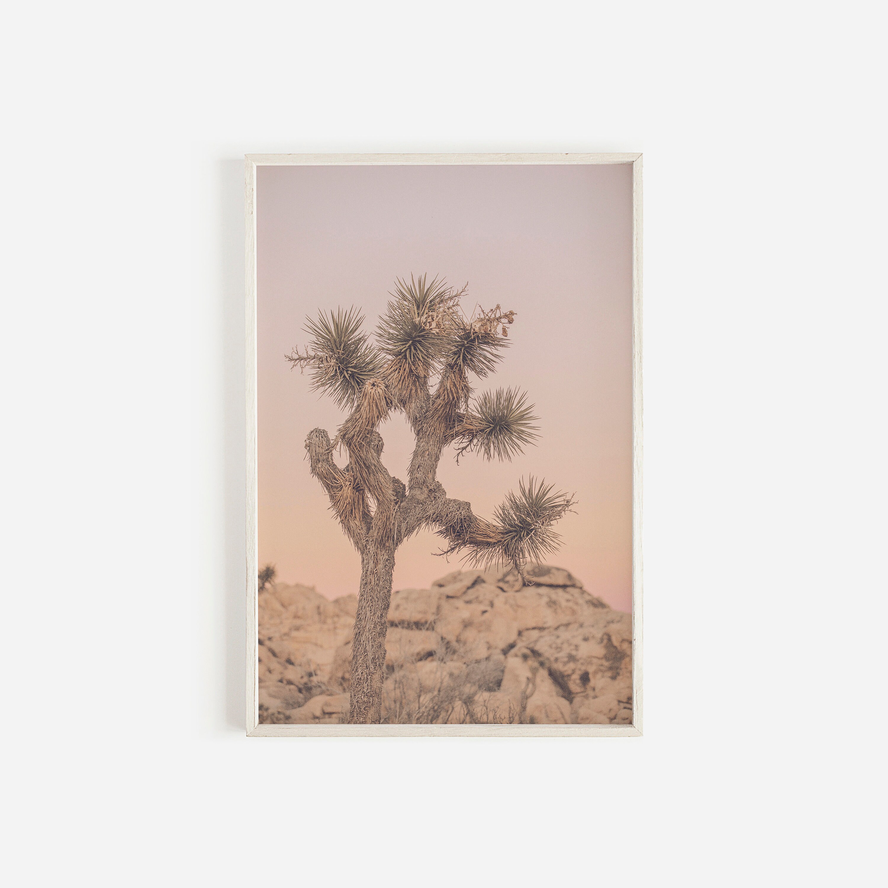 Pastel Desert Print Set of 3 Prints Desert Animal Wall Art - Etsy